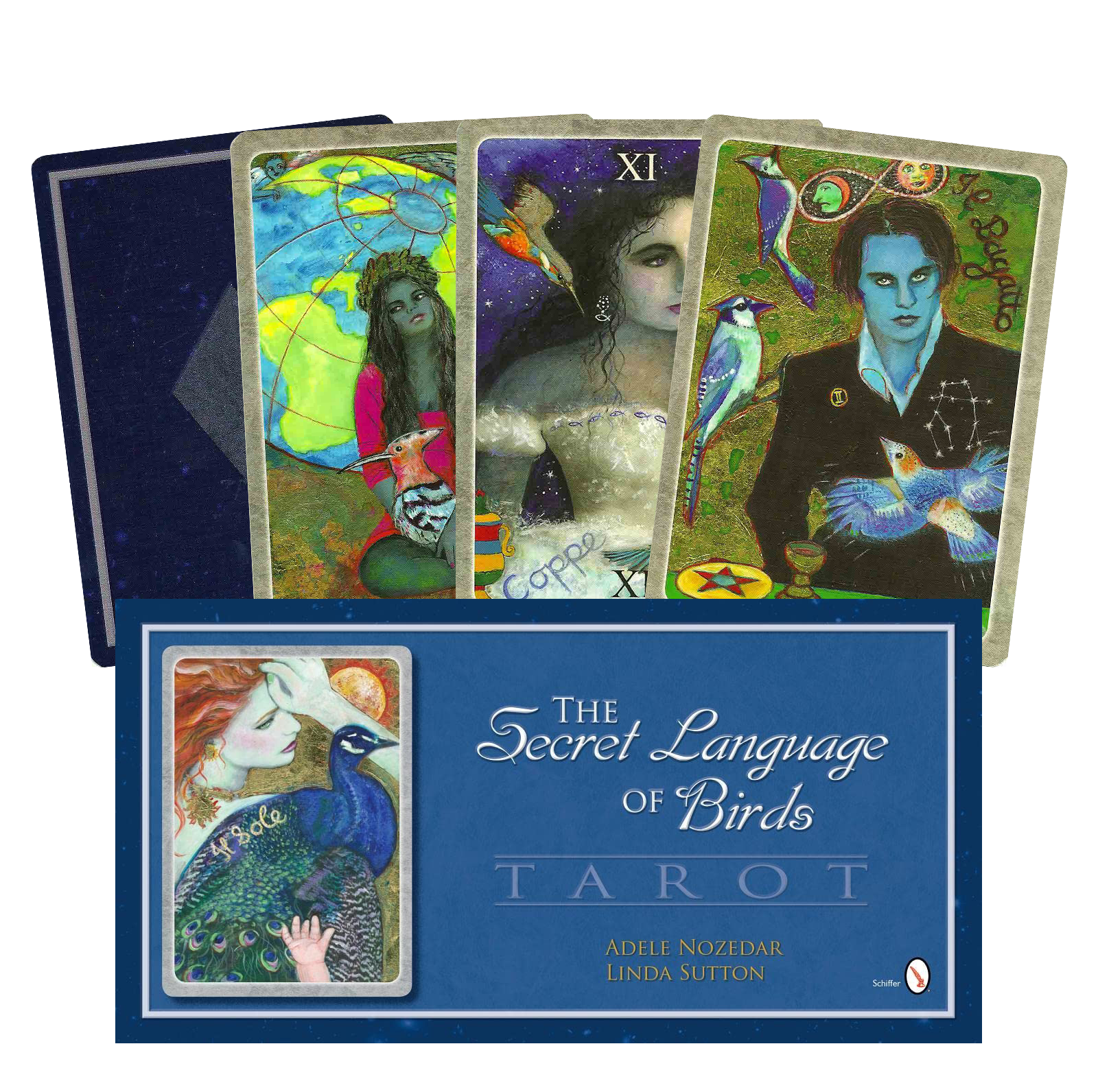 The Secret Language of Birds Taro Kortos Schiffer Publishing – OBUOLYS