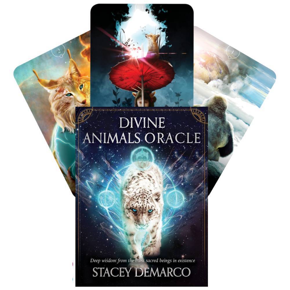 Divine Animals Oracle kortos Rockpool – OBUOLYS
